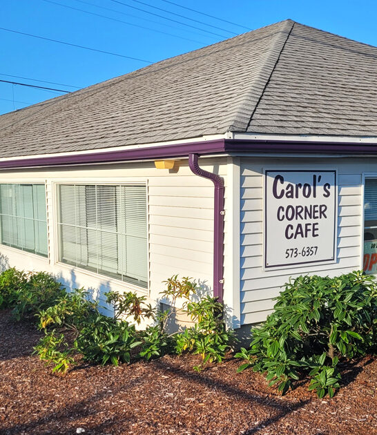 washington down earth cafe ftr