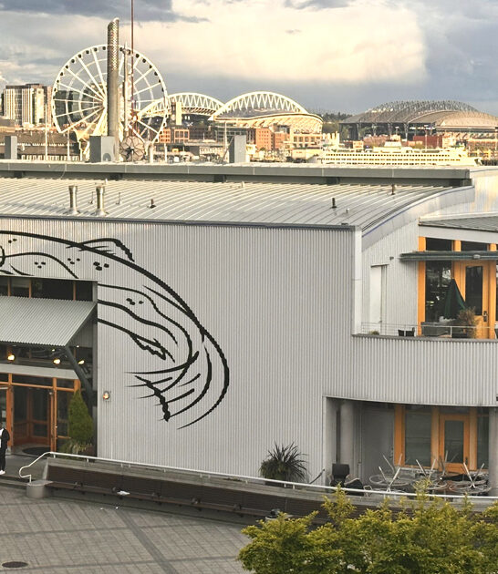 washington laidback seafood restaurant ftr