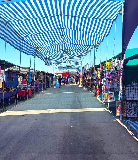 washington market fill trunk ftr