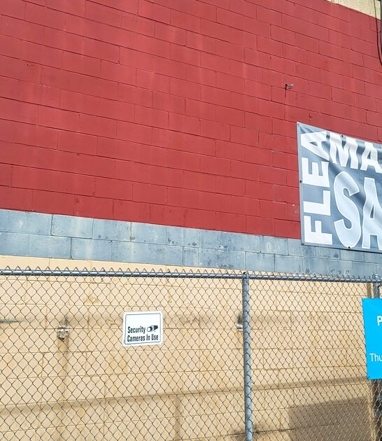 washington markets gigantic flea ftr