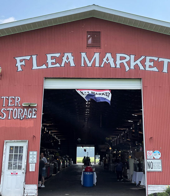 weekend market adventure michigan ftr