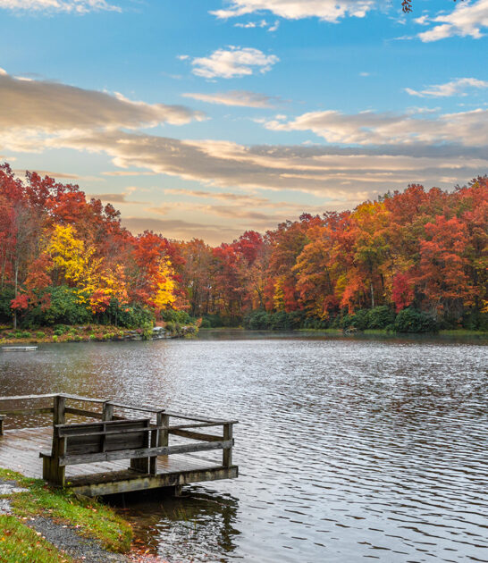 west virginia dream park ftr