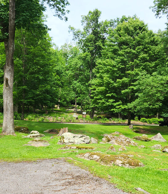 west virginia park beautiful ftr