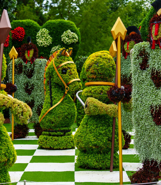 whimsical botanical garden georgia ftr