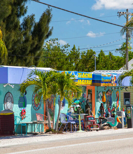 whimsical small town florida FTR