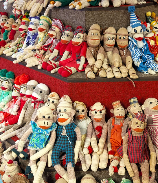 whimsical sock monkey illinois ftr