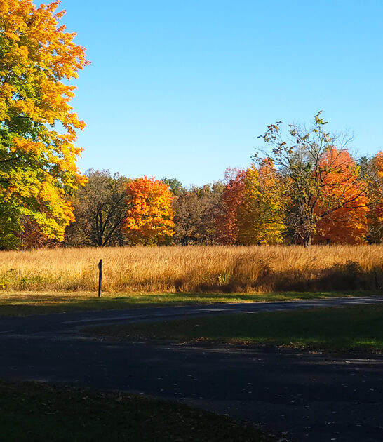 wisconsin postcard worthy park ftr