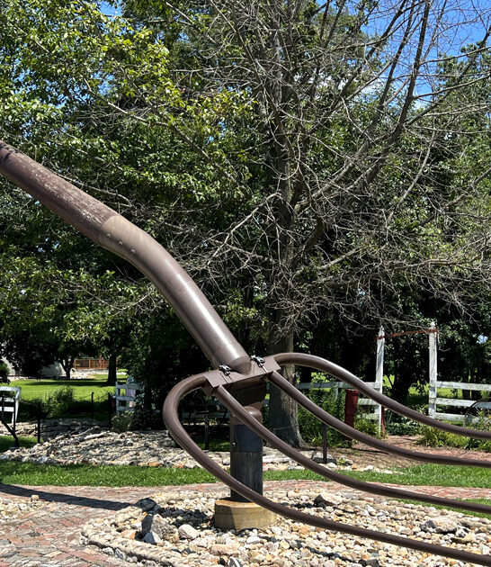 wonderfully weird attraction illinois ftr