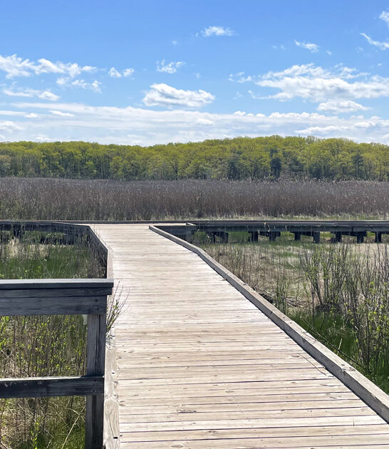 wondrous park new jersey ftr