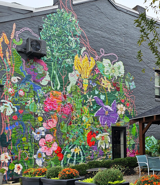 wondrous restaurant west virginia ftr