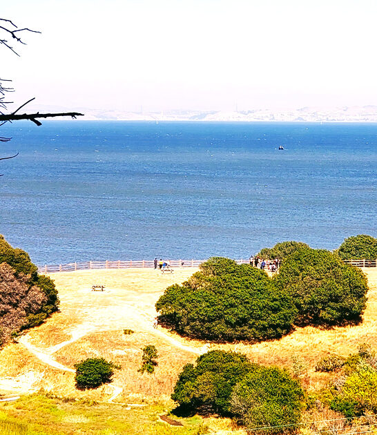 worthy postcard park california ftr