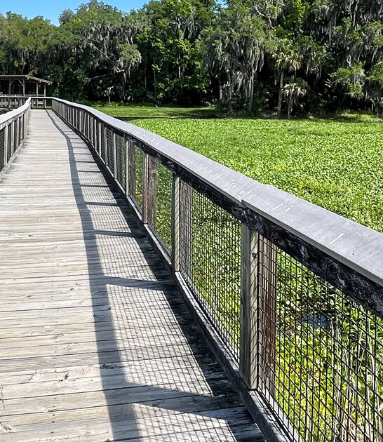 worthy postcard park florida ftr