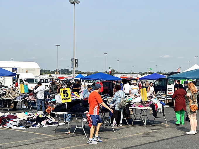 The asphalt jungle of bargain hunters springs to life every Saturday, where $5 tables become treasure islands for the patient and persistent.