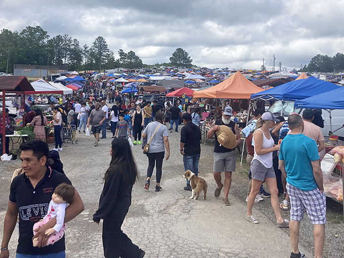 Crowds gather under colorful canopies where treasures and tall tales flow as freely as sweet tea.