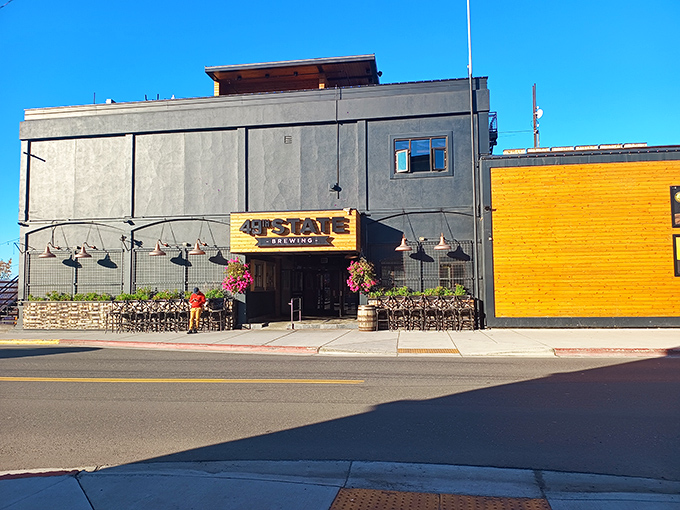 Yellow signage pops against gray concrete, like a beacon of beer-soaked hope on Anchorage's 3rd Avenue.