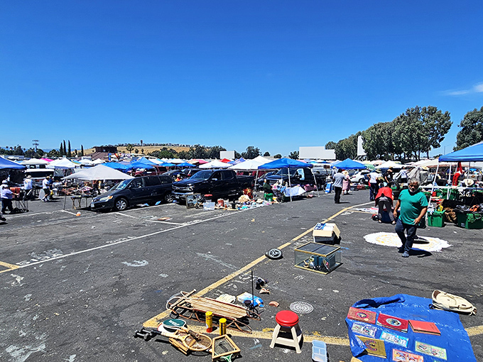 Blue skies and bargain hunters unite at Capitol Flea Market, where treasure hunting becomes an Olympic sport under the California sun.