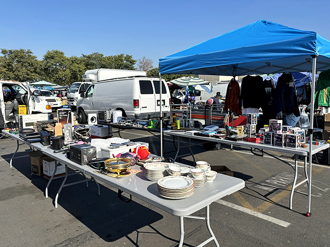 Tables laden with treasures stretch to the horizon &ndash; one person's castoffs become another's must-haves under the bright California sky.