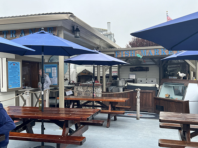 Blue umbrellas and rustic picnic tables welcome seafood pilgrims to this unassuming coastal shrine where flavor trumps frills every time.