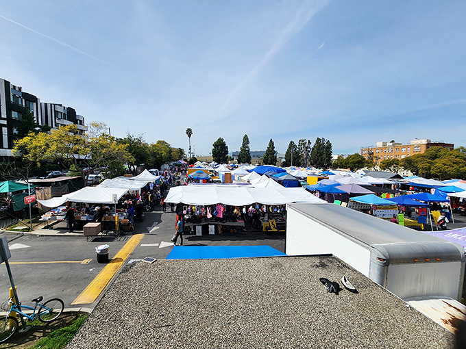 From above, the LACC SWAP Meet spreads out like a sea of blue canopies &mdash; a treasure hunter&rsquo;s paradise filled with endless rows and hidden gems waiting to be found.