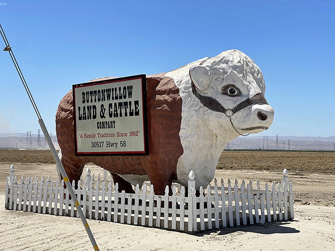 Highway 58's most impressive resident stands tall in Buttonwillow, where this brown and white behemoth has been stopping traffic for decades.