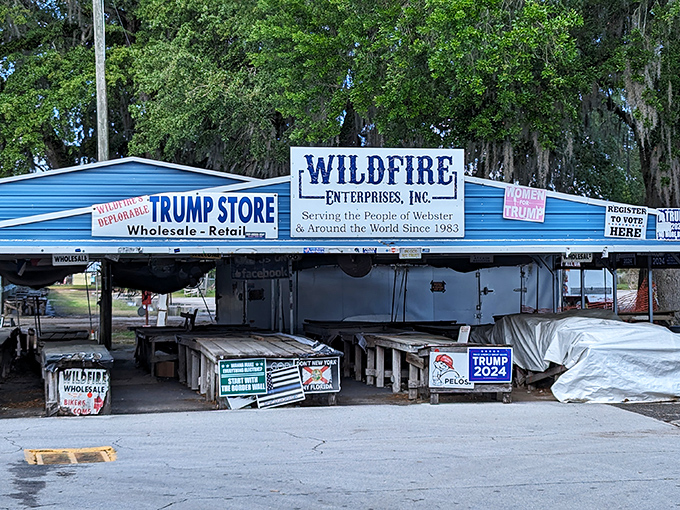 One vendor's political passion is another's business opportunity. At Webster Flea Market, merchandise spans the spectrum from practical to partisan, all under Florida's swaying Spanish moss.