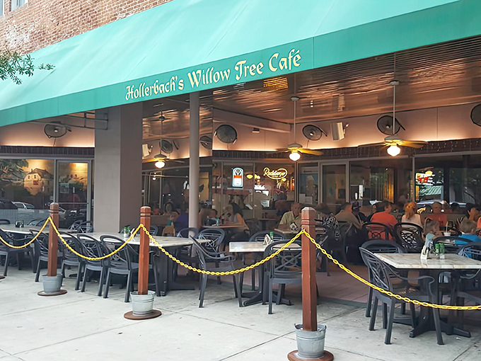 The iconic green awning of Hollerbach's Willow Tree Caf&eacute; beckons like a German oasis in downtown Sanford's historic district.