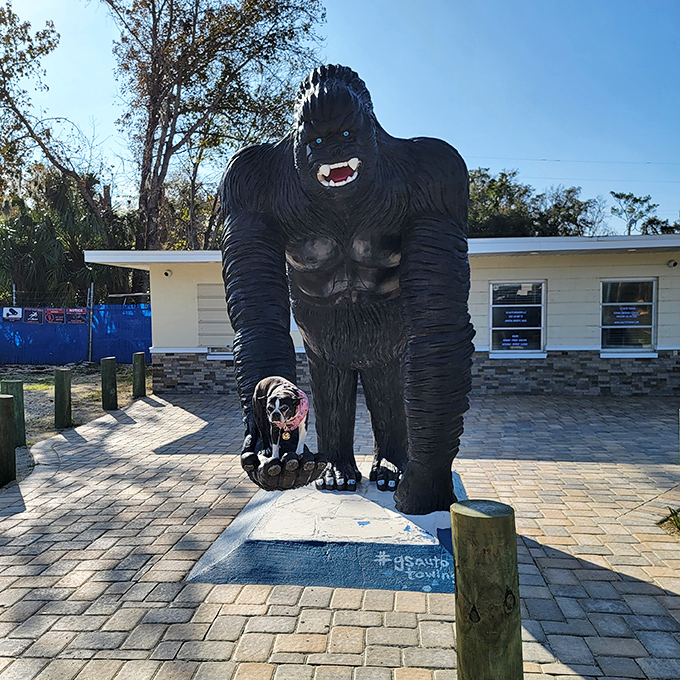 The king of Crystal River's jungle stands guard with impressive posture and a hand ready for your pet's grand photo op.