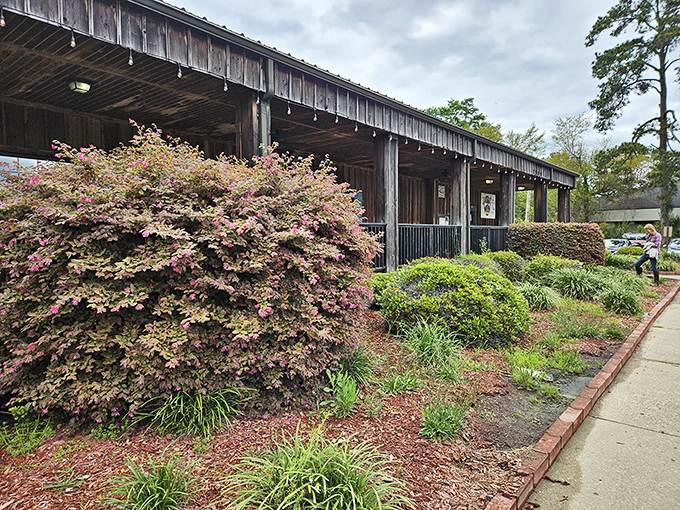 The weathered wooden exterior of Blackbeard's isn't putting on airs &ndash; it's too busy putting out some of Georgia's finest barbecue behind that humble facade.