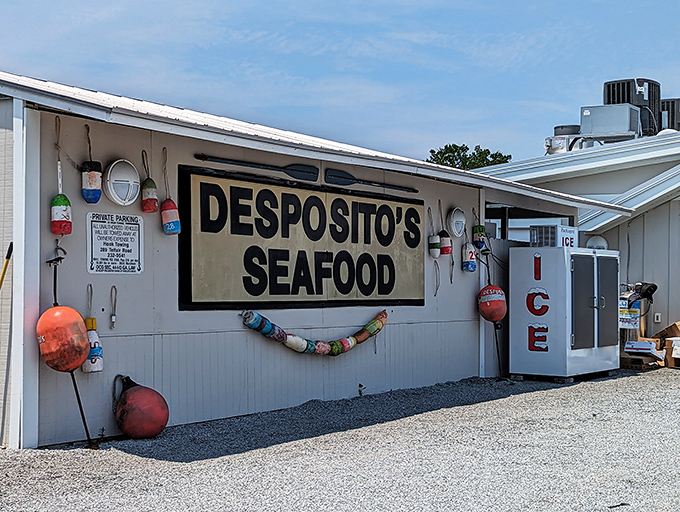 Colorful buoys and nautical touches adorn the simple white exterior &ndash; not as Instagram bait, but authentic decorations from a life lived on the water.
