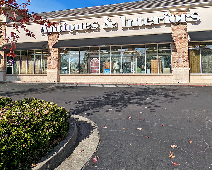 Look closely at those display windows&mdash;each item has outlived trends, presidents, and probably several previous owners.