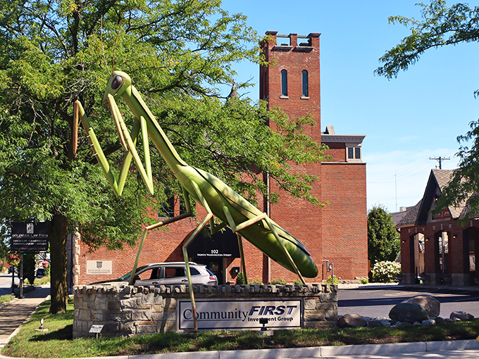 From this angle, KokoMantis appears ready to stride across Sycamore Street, perhaps in search of a mantis-sized coffee.