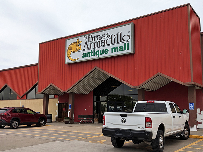 That cheerful armadillo mascot promises treasure hunting adventures where parking spaces are plentiful and dreams affordable.