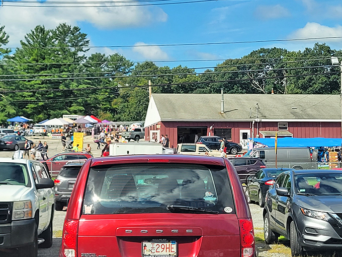 The bustling parking lot at Grafton Flea Market hints at the treasure hunt within. Sunday shoppers arrive early, knowing the best finds disappear fast.