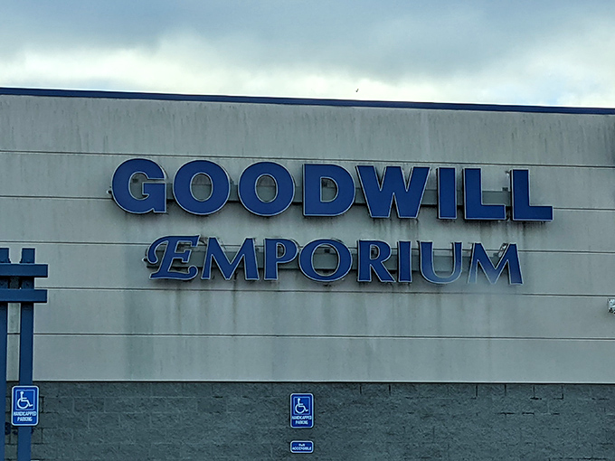 That iconic blue signage isn't just advertising&mdash;it's a beacon calling treasure hunters to their happy place in Lansing.