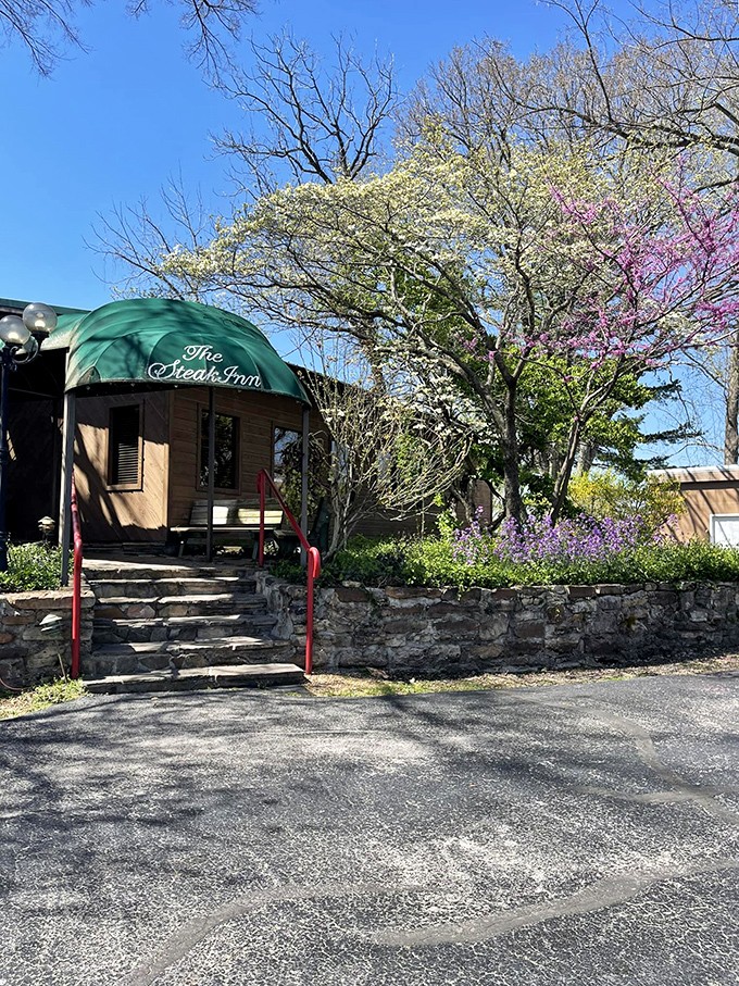 Spring announces itself at The Steak Inn with a symphony of dogwood and redbud blooms framing that iconic green awning. Nature's perfect appetizer.