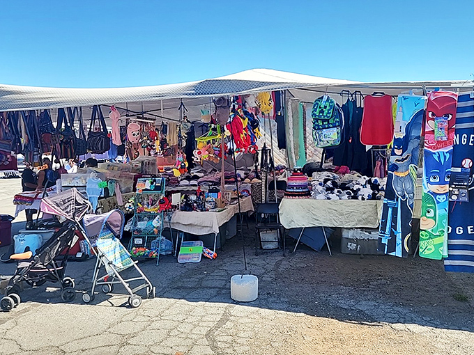 Colorful canopies shelter a treasure trove of bargains at El Rancho Public Market, where one person's castoffs become another's discoveries.
