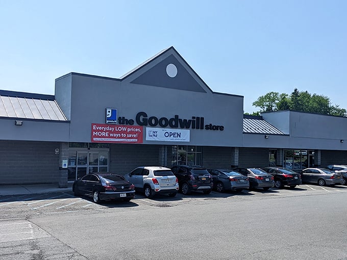 Welcome to thrift paradise &ndash; where your grandmother's donated treasures become your new favorite finds.