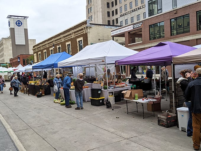 The heart of downtown Fargo transforms into a vibrant community hub every Saturday, where white tents and green spaces create the perfect urban oasis.