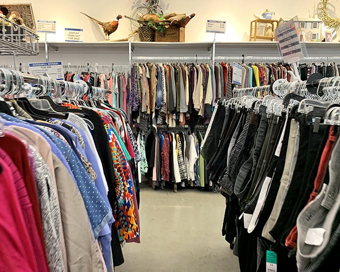 The iconic blue and white Goodwill sign beckons like a lighthouse for bargain hunters. Inside awaits a treasure trove of possibilities and second chances.