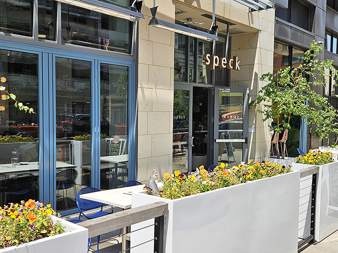 Speck's understated exterior belies the culinary magic happening inside. Those flower boxes aren't just pretty&mdash;they're your first hint that someone here really cares about details.