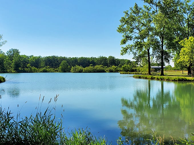 Mirror-like waters reflect nature's perfect symmetry. Ohio's best-kept secret isn't whispering anymore&mdash;it's showing off in high definition.