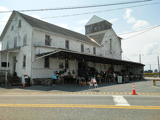 Another architectural angle reveals Root's unpretentious charm, where fancy facades take a backseat to fantastic finds.