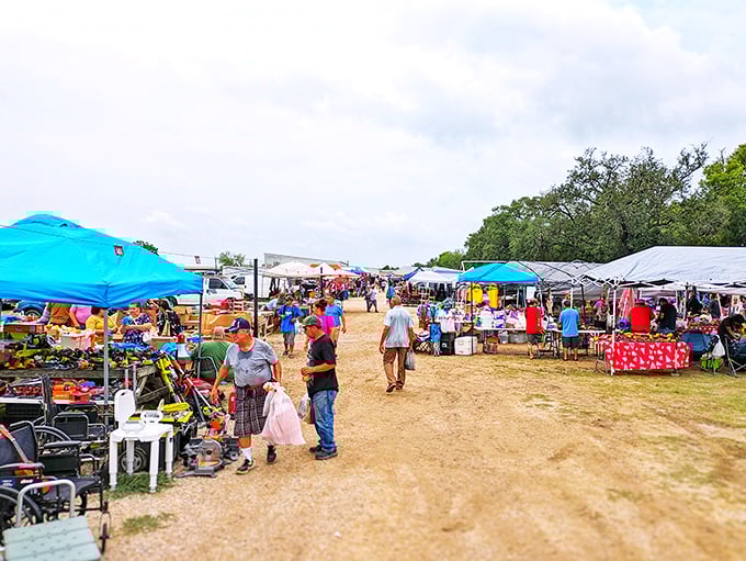 The grand bazaar of Pearland stretches before you like a treasure map waiting to be explored, colorful tents beckoning with promises of undiscovered gems.