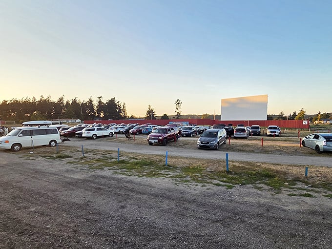 Cars line up like eager moviegoers at a premiere, waiting for dusk to transform this field into cinema magic.
