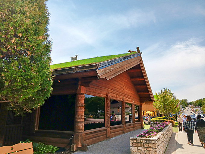 The most Wisconsin sight you'll ever see: goats grazing on a sod roof while diners below debate whether to order extra lingonberries.