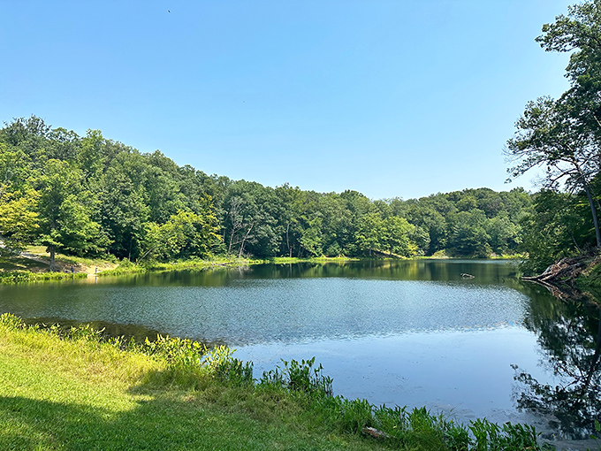 Mirror-like waters reflect nature's masterpiece at Bryant Creek Lake, where the forest meets sky in perfect harmony.
