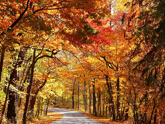 Mirror-like waters reflect nature's masterpiece at Bryant Creek Lake, where the forest meets sky in perfect harmony.