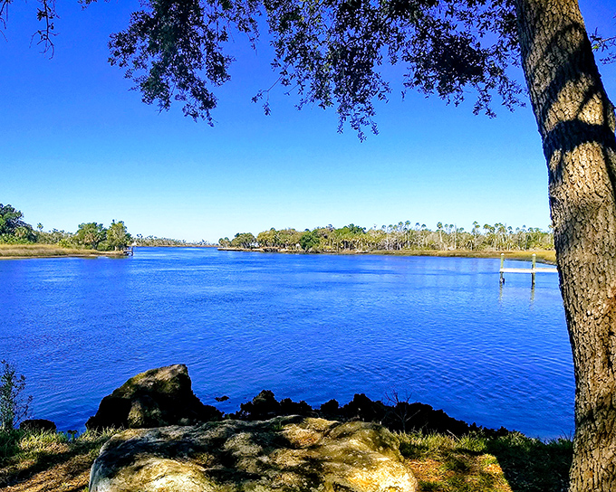 The water at Crystal River Preserve State Park shimmers like nature's own sapphire, inviting visitors to forget their inbox notifications exist.