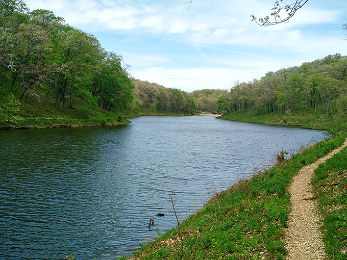 Nature's perfect mirror: Lake Lincoln reflects the surrounding forest like a landscape painter showing off. Missouri serenity at its finest.