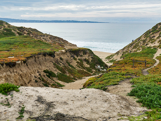 The view that makes you question why you ever waste time indoors. Fort Ord's dramatic dunes create natural amphitheaters overlooking the Pacific, nature's own IMAX experience.